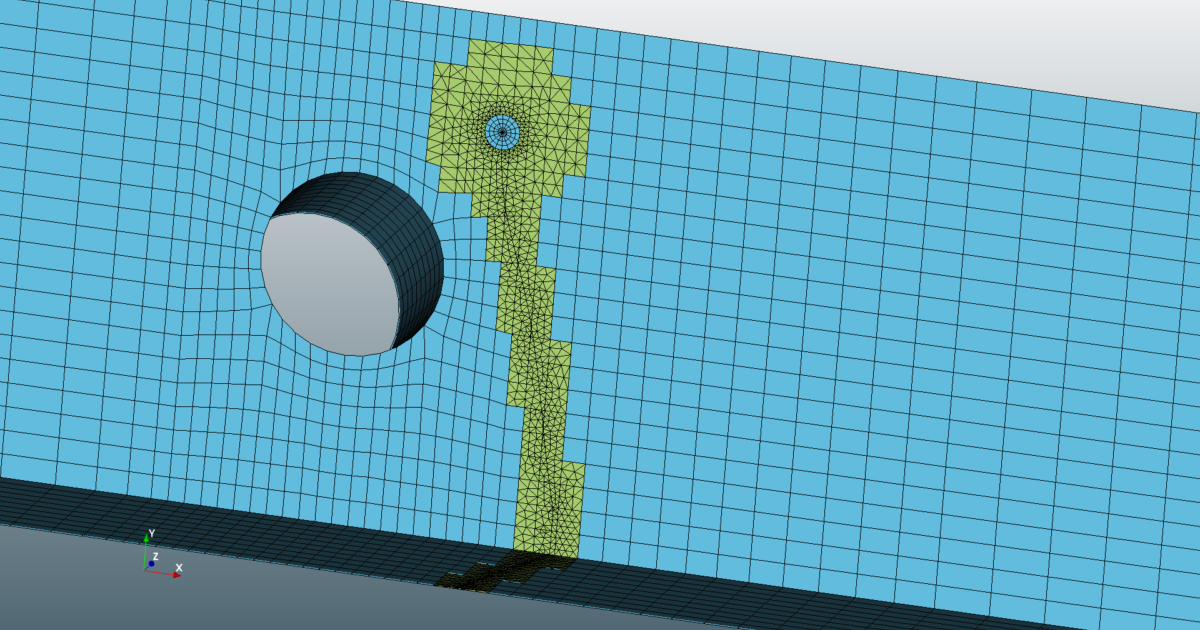 SEN Specimen With A Hole | Zentech